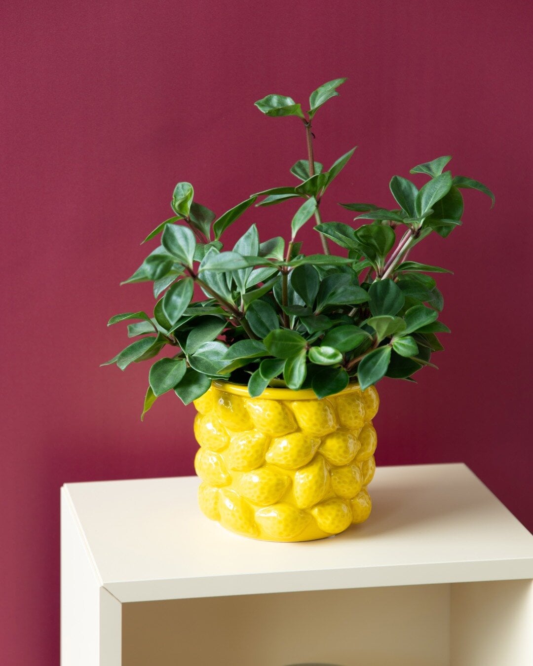 Kruka Citron | Home Accessories Online | Lagerhaus.com - Lagerhaus