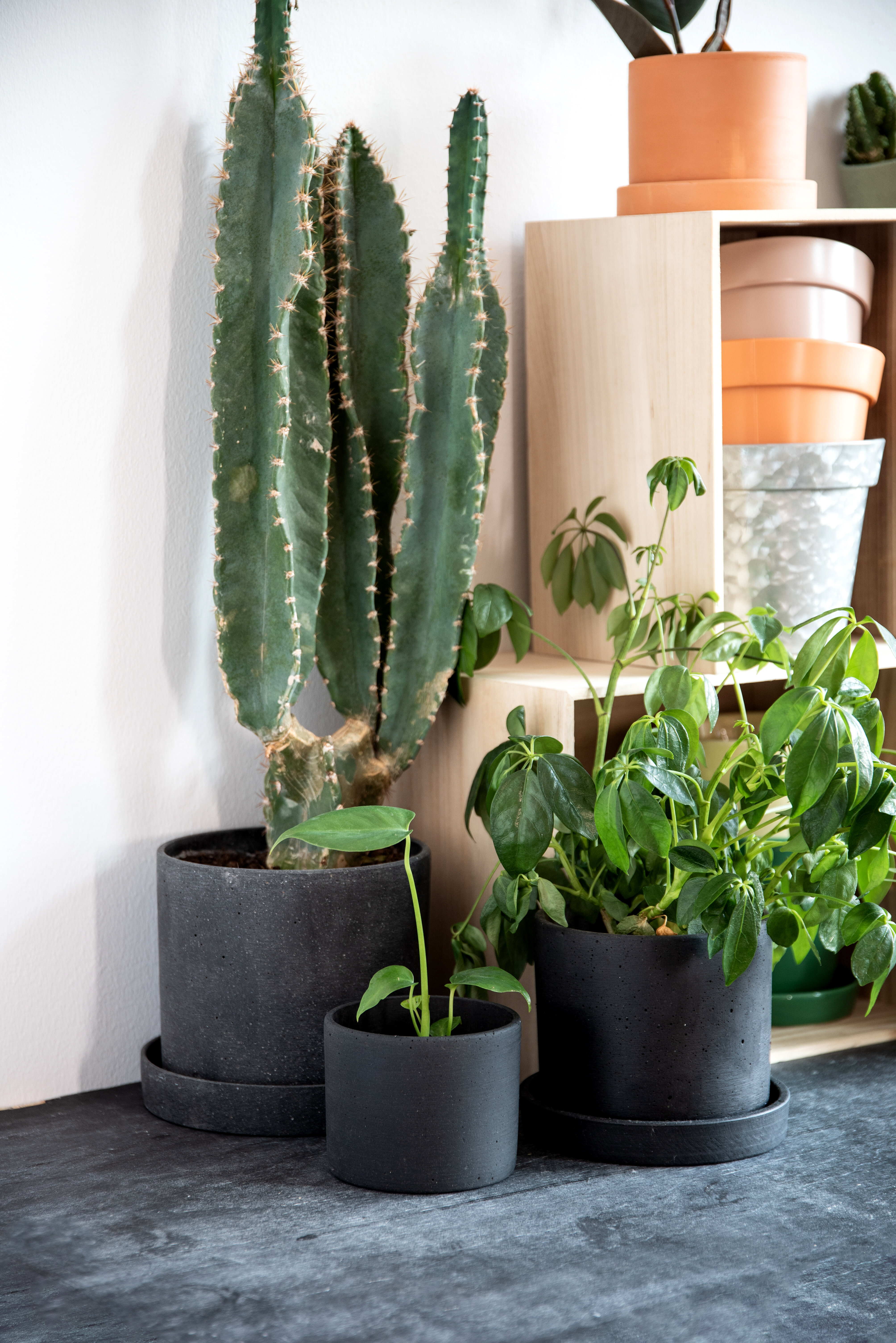 POLLY pot, black | Home Accessories Online | Lagerhaus.com - Lagerhaus